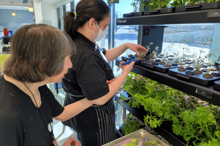 Top 3 Culinary Innovations in Senior Living - Morrison Living